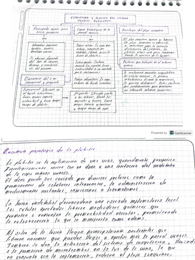 Flebitis Pdf