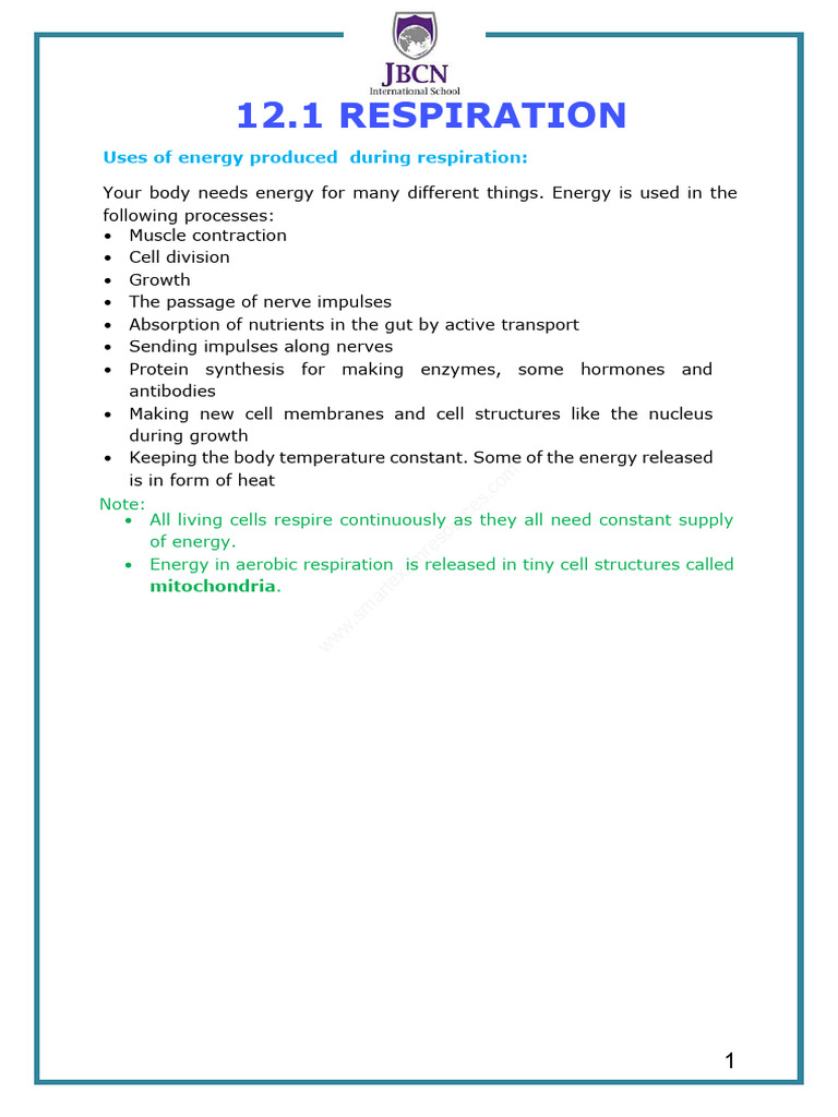 12 1-12 2-12 3-Respiration | PDF | Cellular Respiration | Lactic Acid