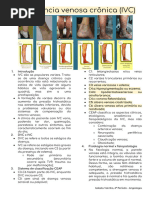 Classificação CEAP em Insuficiência Venosa | PDF | Varizes | Veia