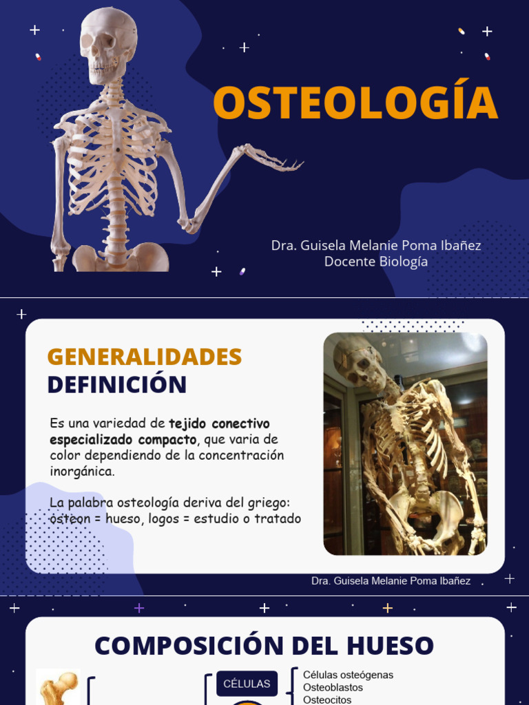 Anatomia Osteologia | PDF | Hueso | Sistema esquelético