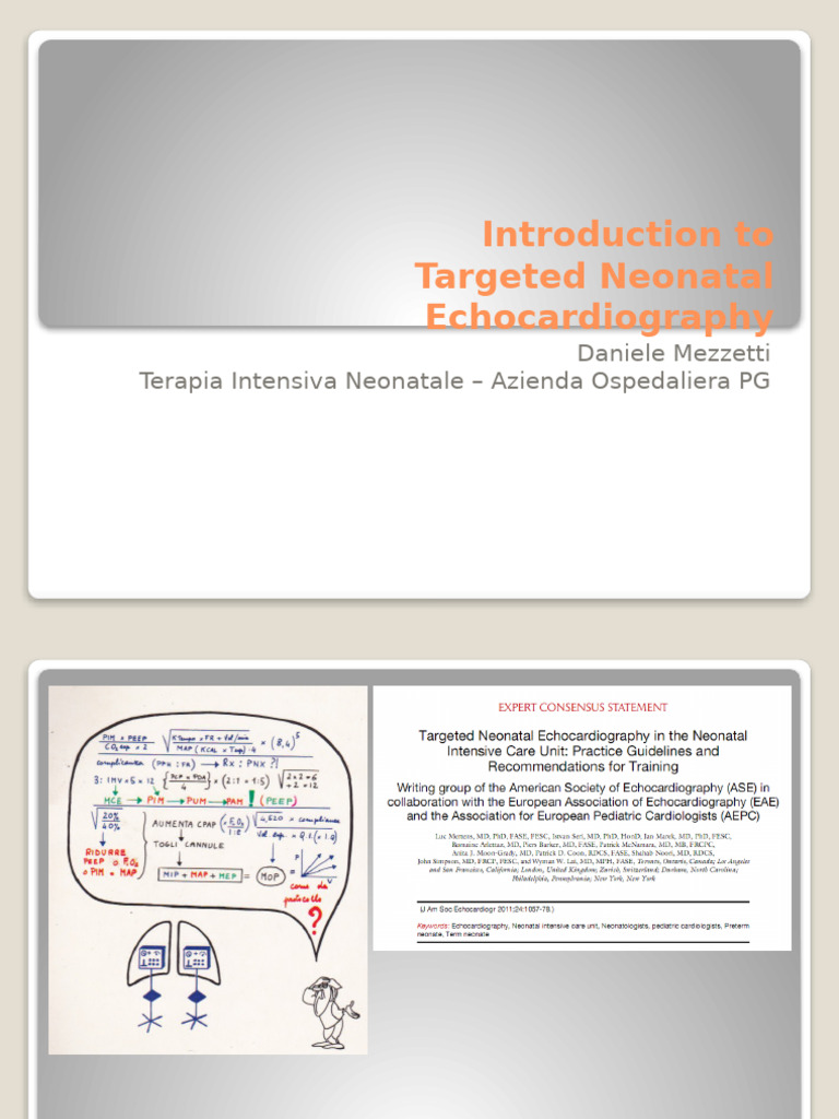 Targeted Neonatal Echocardiography | PDF