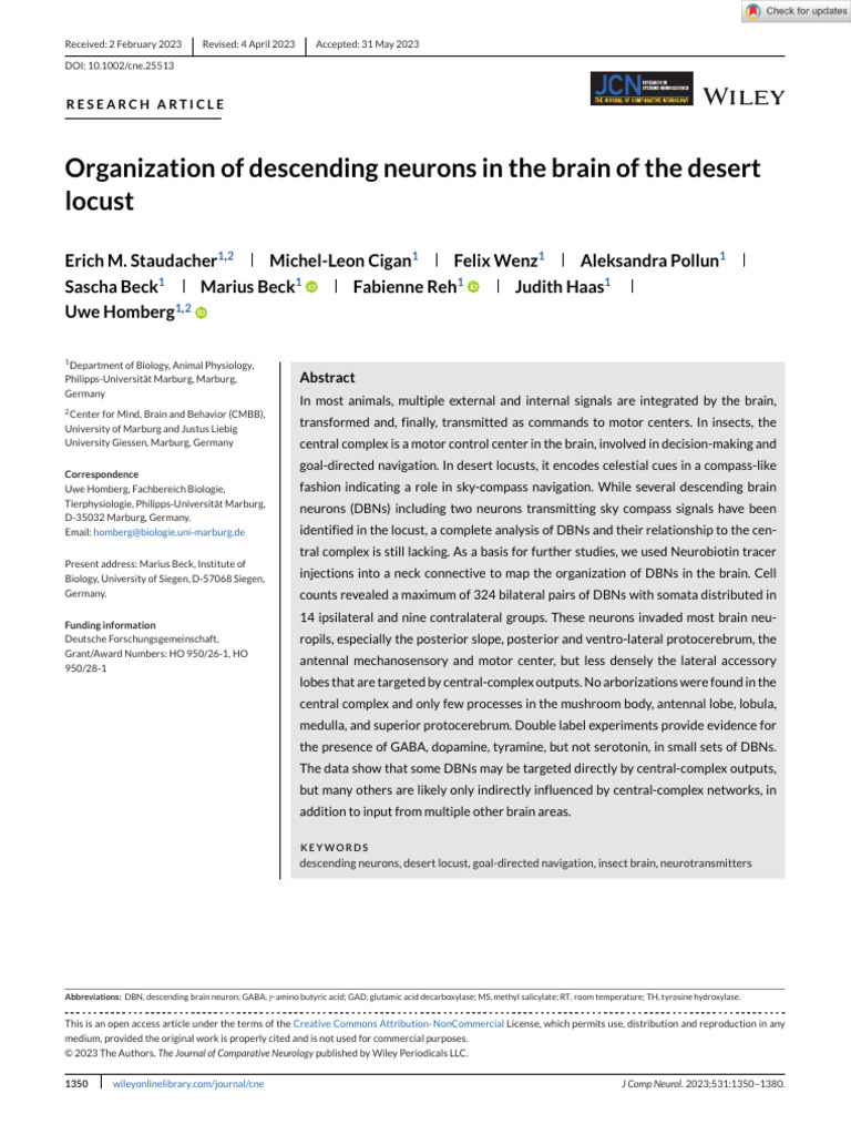Organization of Descending Neurons in The Brain of The Desert Locust | PDF | Brain | Nerve