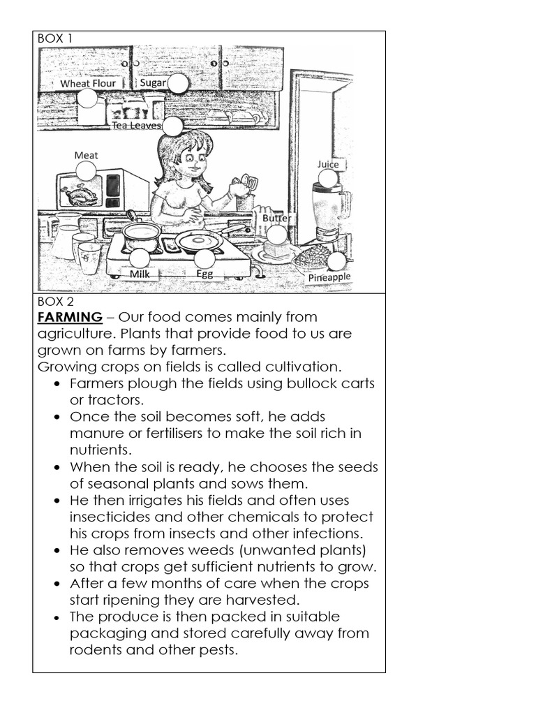 Farming to Table: Food Supply Chain | PDF