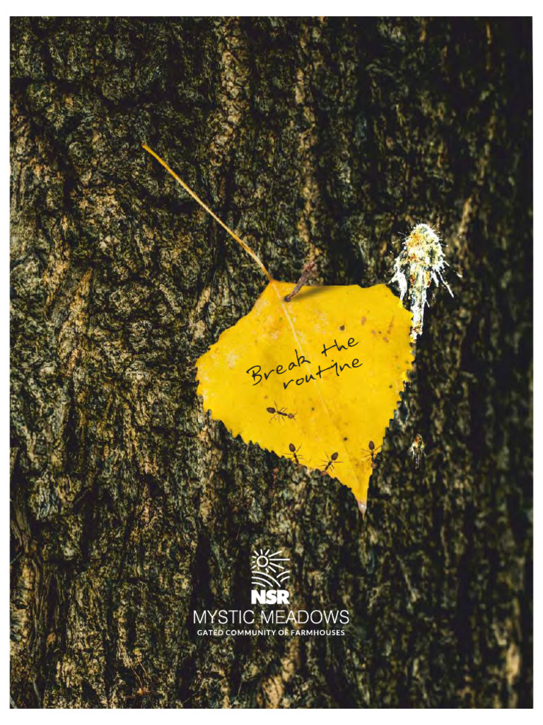 Mystic Meadows Brochure | PDF