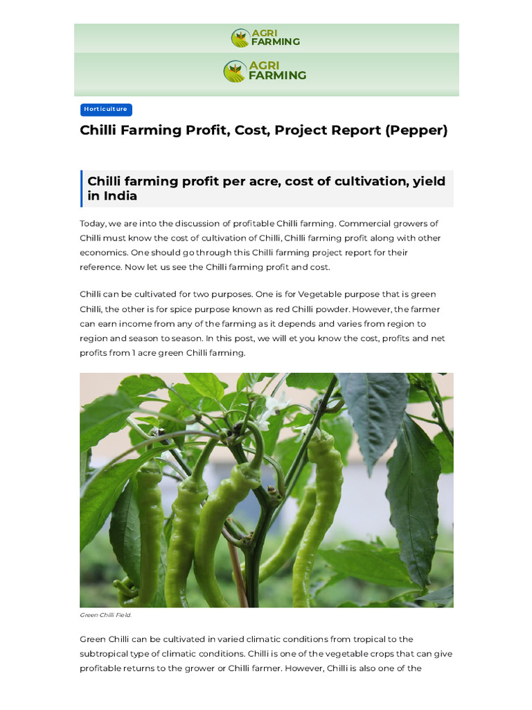 Chilli Farming Profit, Cost, Project Report (Pepper) - Agri Farming | PDF | Chili Pepper ...