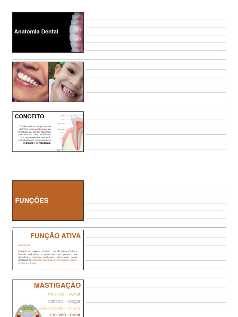 1 Introdução Anatomia | PDF | Dente humano | Áreas da odontologia