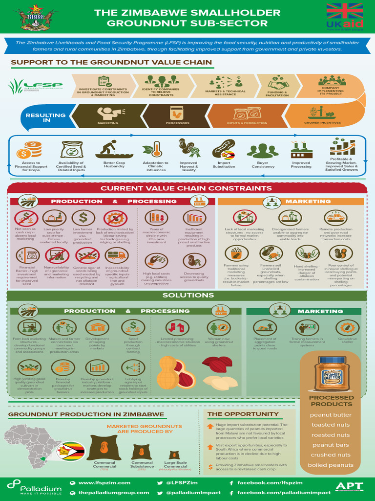 Groundnuts Value Chain Infographic - Final - Lfsp | PDF | Peanuts ...