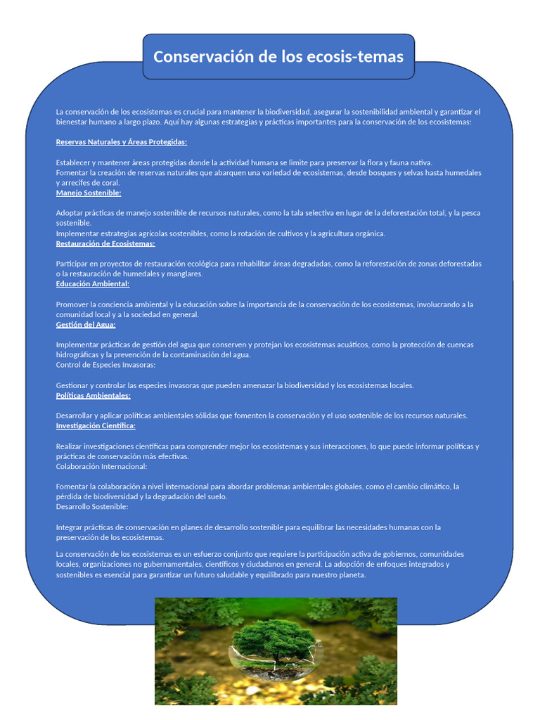 5TO CCSS TEMA.. | PDF | Sustentabilidad | Movimiento conservacionista