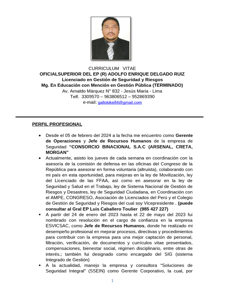 CV Actualizado 22 de Mayo Del 2024 | PDF | Valores