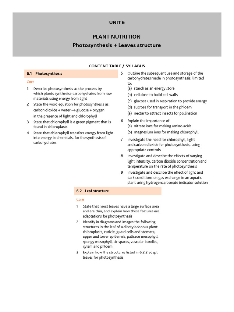 U6. 2 - Leaves and Photosynthesis Process (Excercises) | PDF | Carbon Dioxide | Photosynthesis