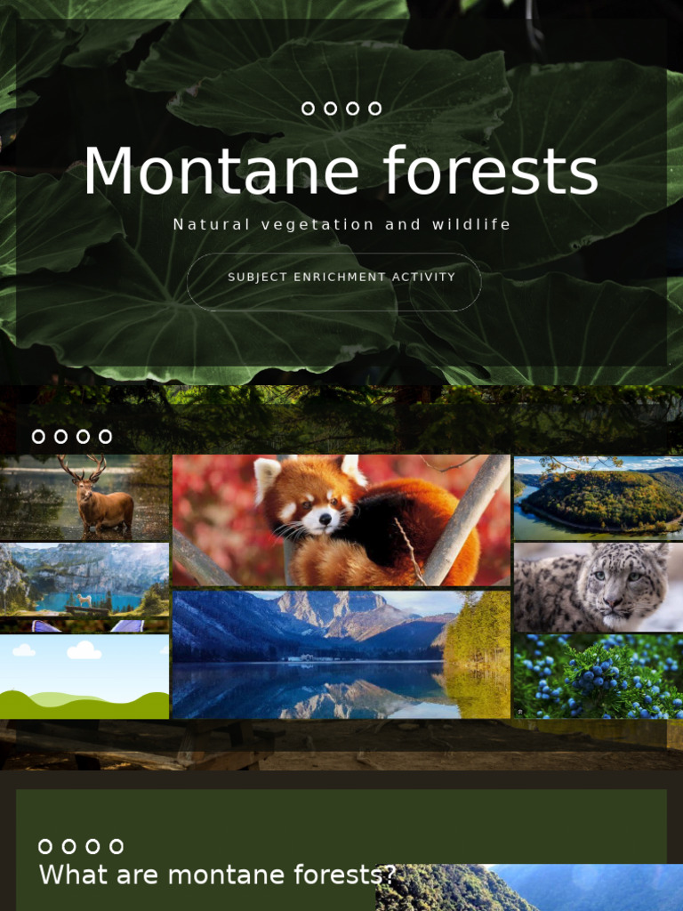 Montane Forests | PDF