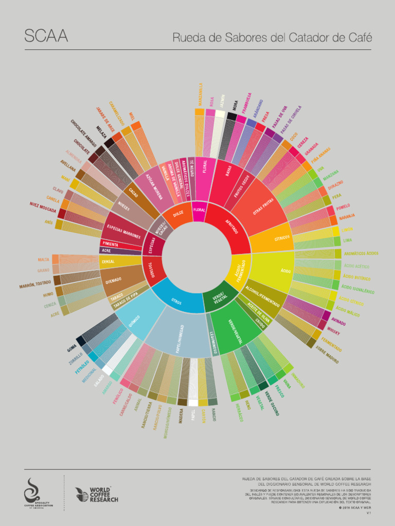 Rueda de Sabores de Cafe SCA - Flavor Wheel | PDF