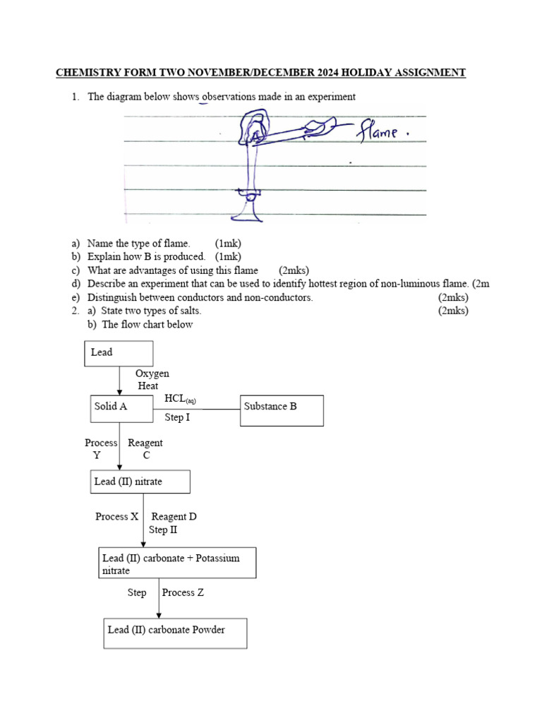 Form 2 December Holiday Assignment 2024 | PDF | Chlorine | Ion