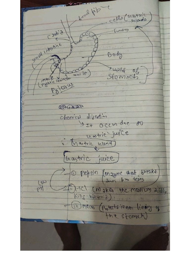 PDFGallery 20250427 230026 | PDF