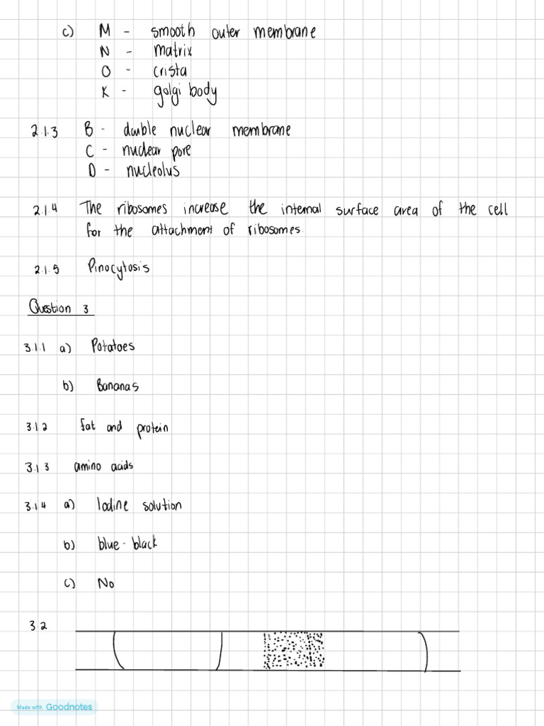 Grade 12 Life Sciences P1 Nov 2023 | PDF