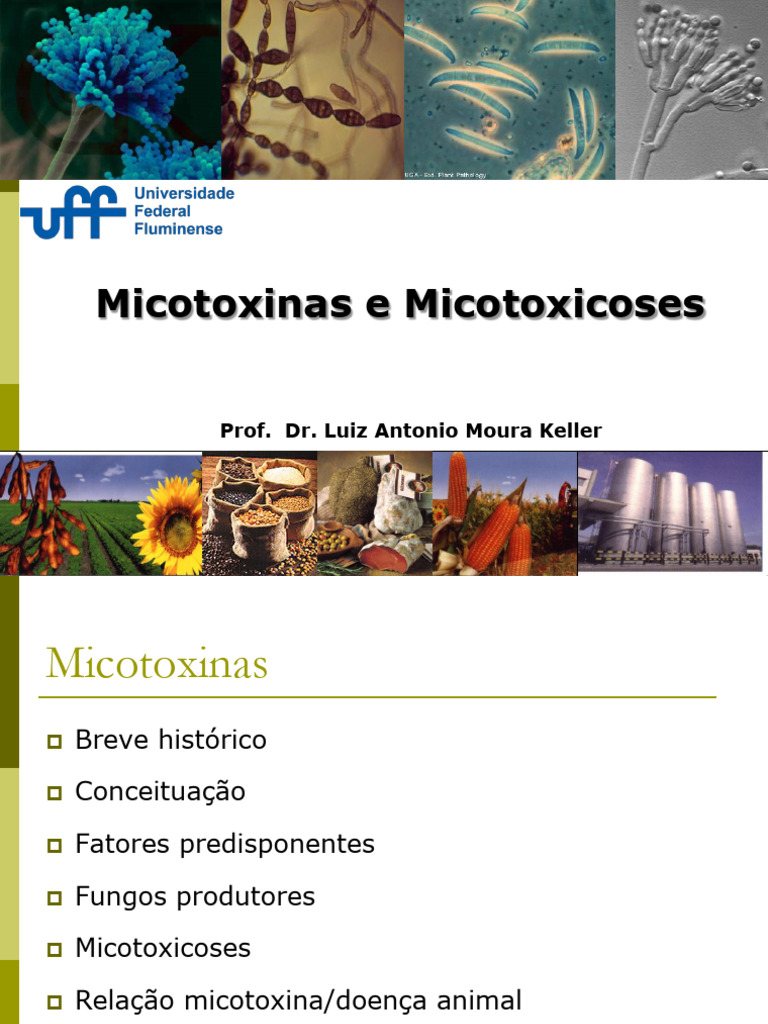 Toxicologia - Aula 8 e 9 - Micotoxinas e Micotoxicoses | PDF | Micotoxina | Fungo