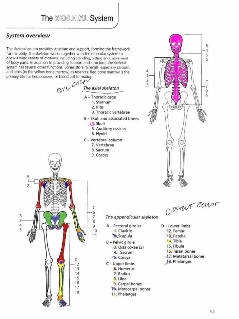 Unclear Document with Mixed Content | PDF