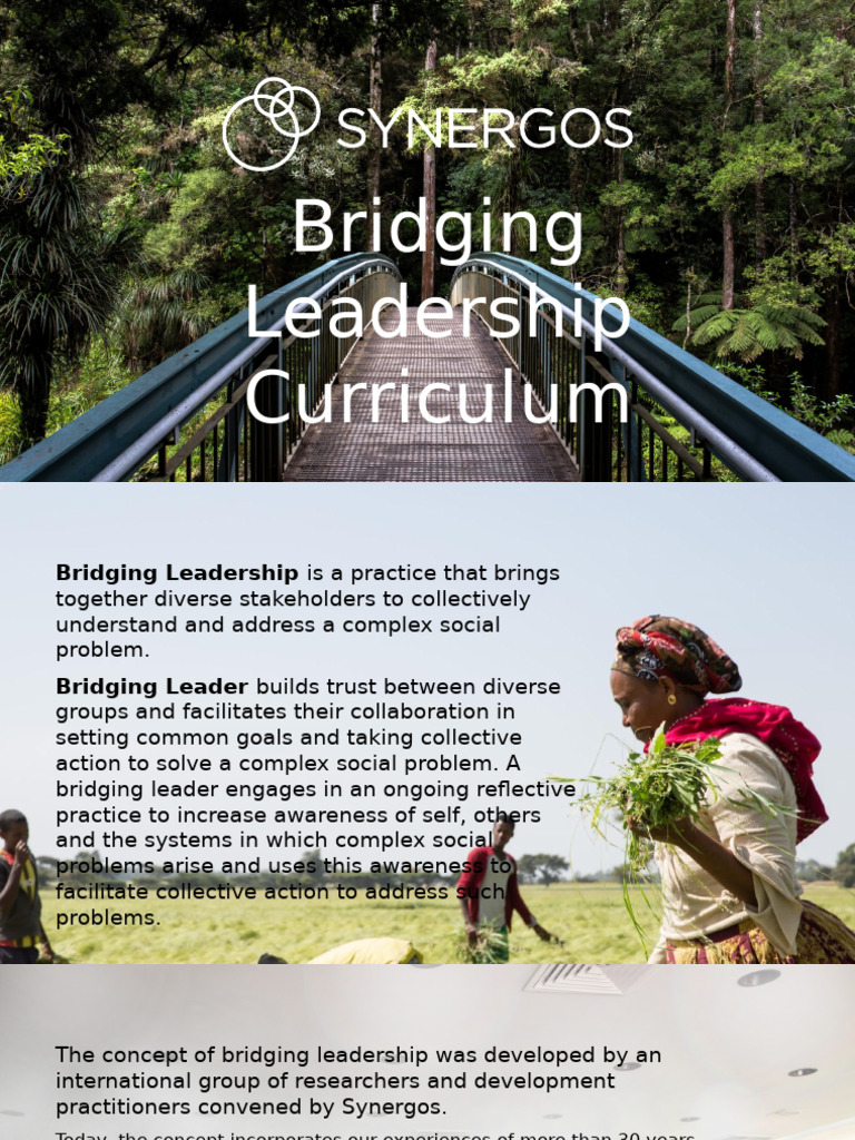 6. Bridging Leadership Curriculum | PDF | Leadership | Collaboration