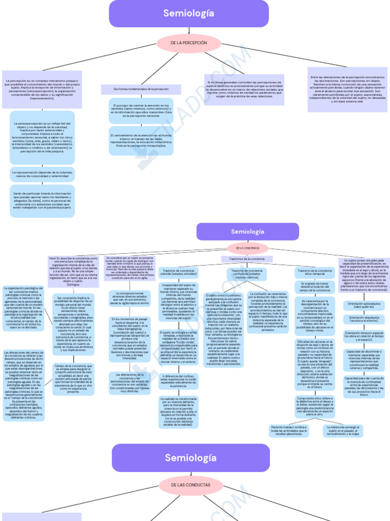 Esquema Semiologia | PDF | Percepción | Engaño