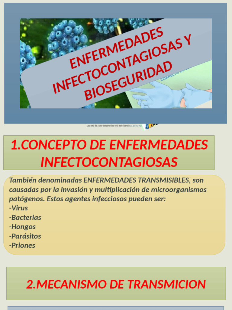 Enfermedades Infectocontagiosas y Bioseguridad | PDF | Infección | Laboratorios