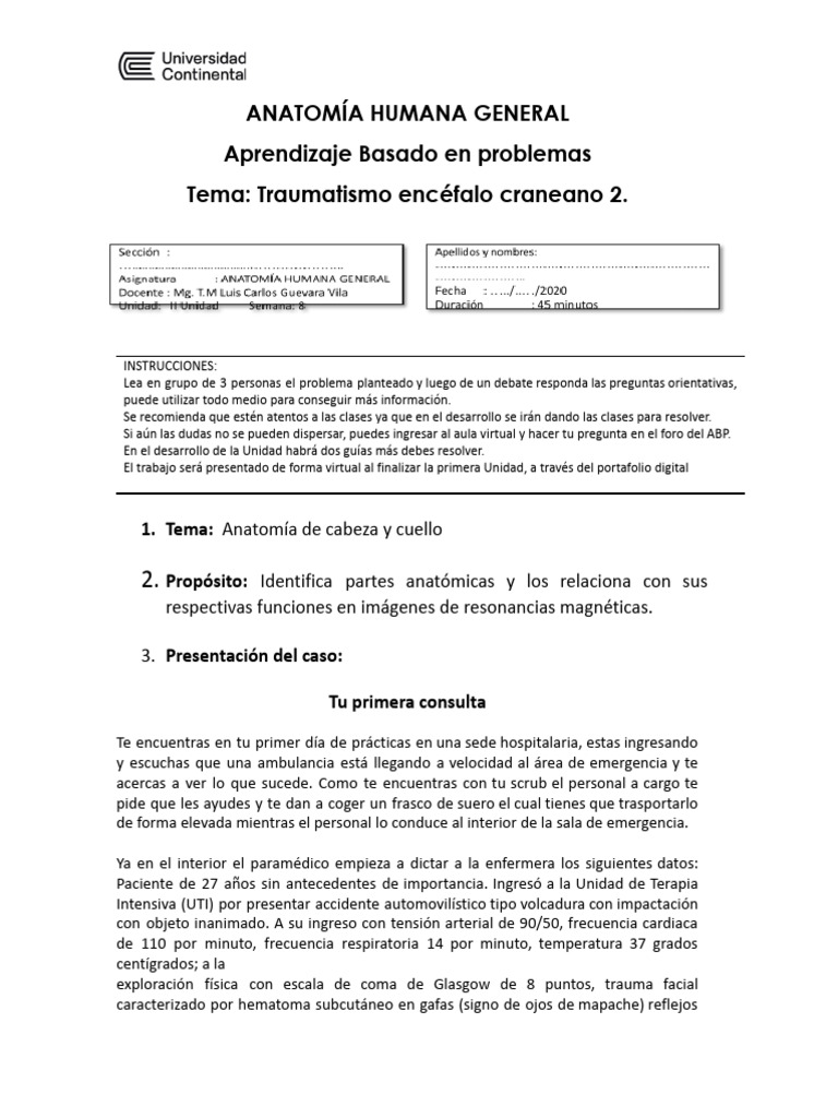 ABP 2 Terminado.docx | PDF | Vértebra | Ojo humano