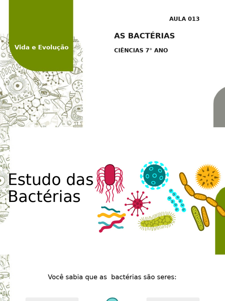 Aula 013 As Bacterias | PDF | Bactérias | Célula (Biologia)