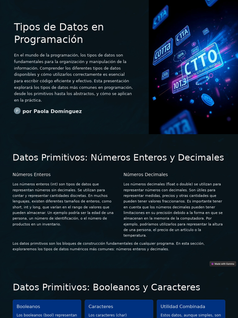 Tipos de Datos en Programacion | PDF | Objeto (informática) | Tipo de datos