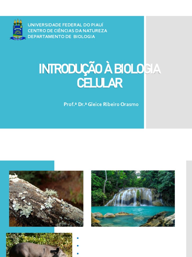 1ª Aula - Intd. à Biologia Celular - Virus - Cél. Proc x Euc - 2025 | PDF | Vírus | Célula ...