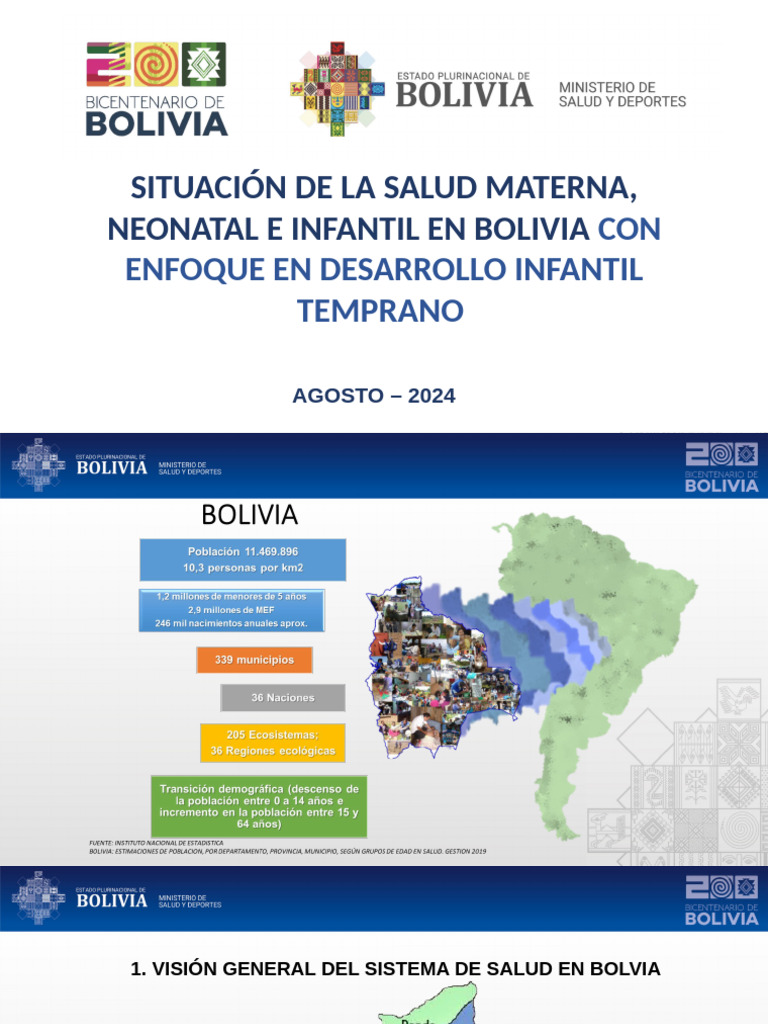 02 Sit Salud Materno Neonatal Dit 2024 Corto | PDF | El embarazo | Muerte materna