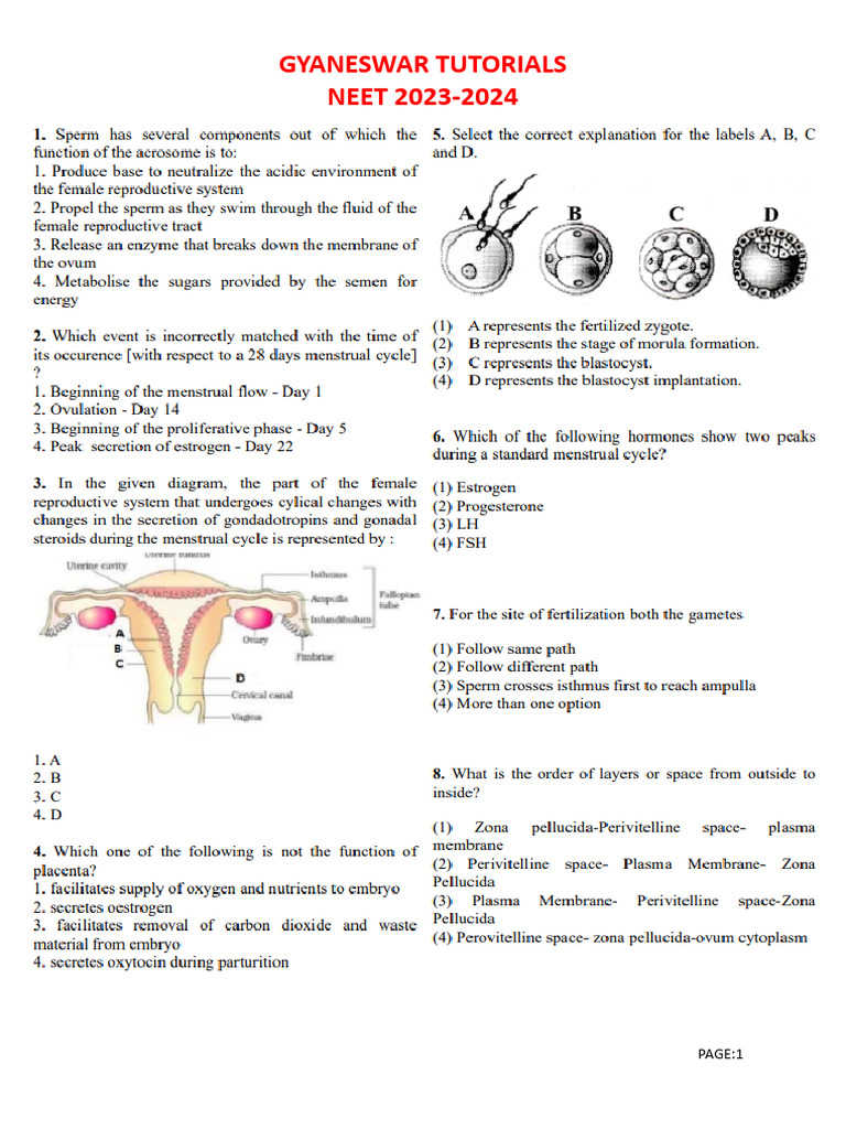 Human Reproduction questions | PDF