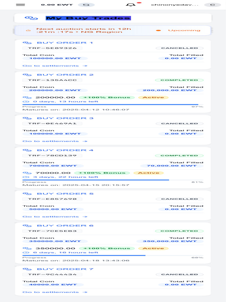 Token Auction Platform | PDF