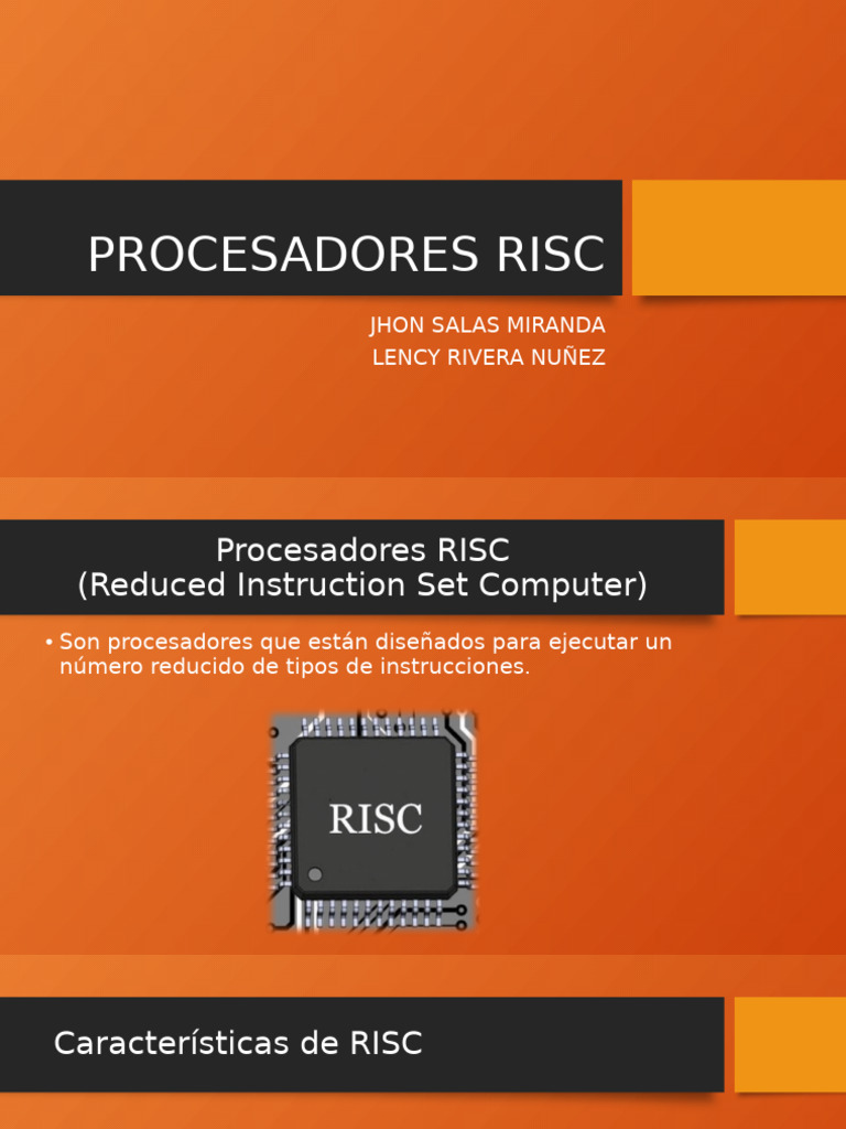 Procesadores Risc | PDF
