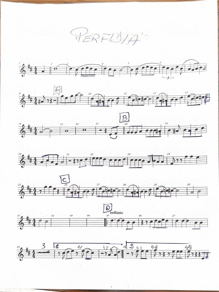 WhatsApp Scan 2025-02-13 at 11.49.59 | PDF