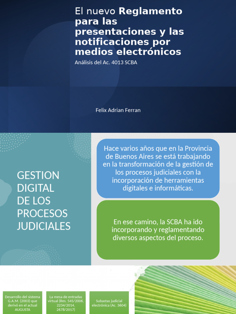 Nuevo Regimen Nype | PDF | Ley procesal | Demanda judicial