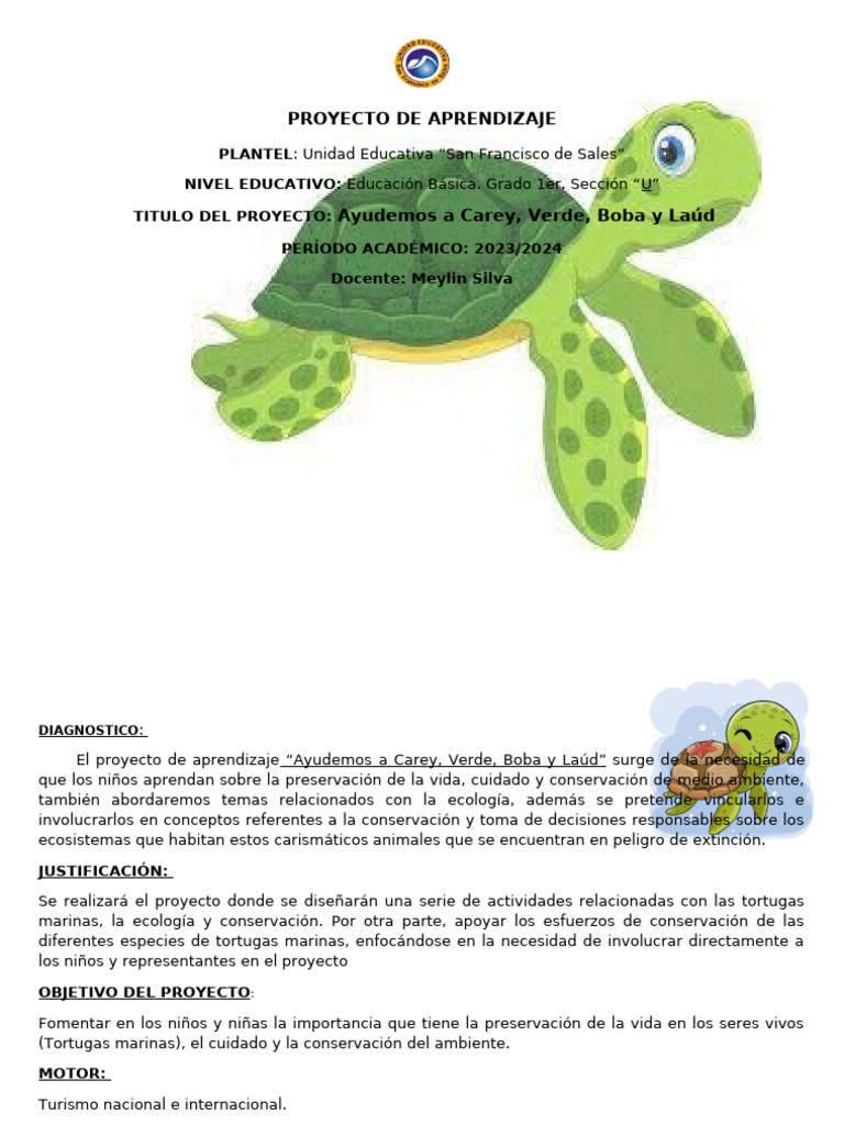 Proyecto de Aprendizaje: Conservación de Tortugas | PDF | Aprendizaje ...