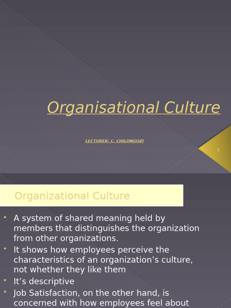 Organisational Culture | PDF | Organizational Culture | Socialization