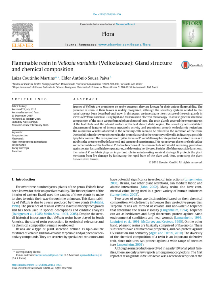 Flammable Resin in Vellozia Variabilis (Velloziaceae) : Gland ...