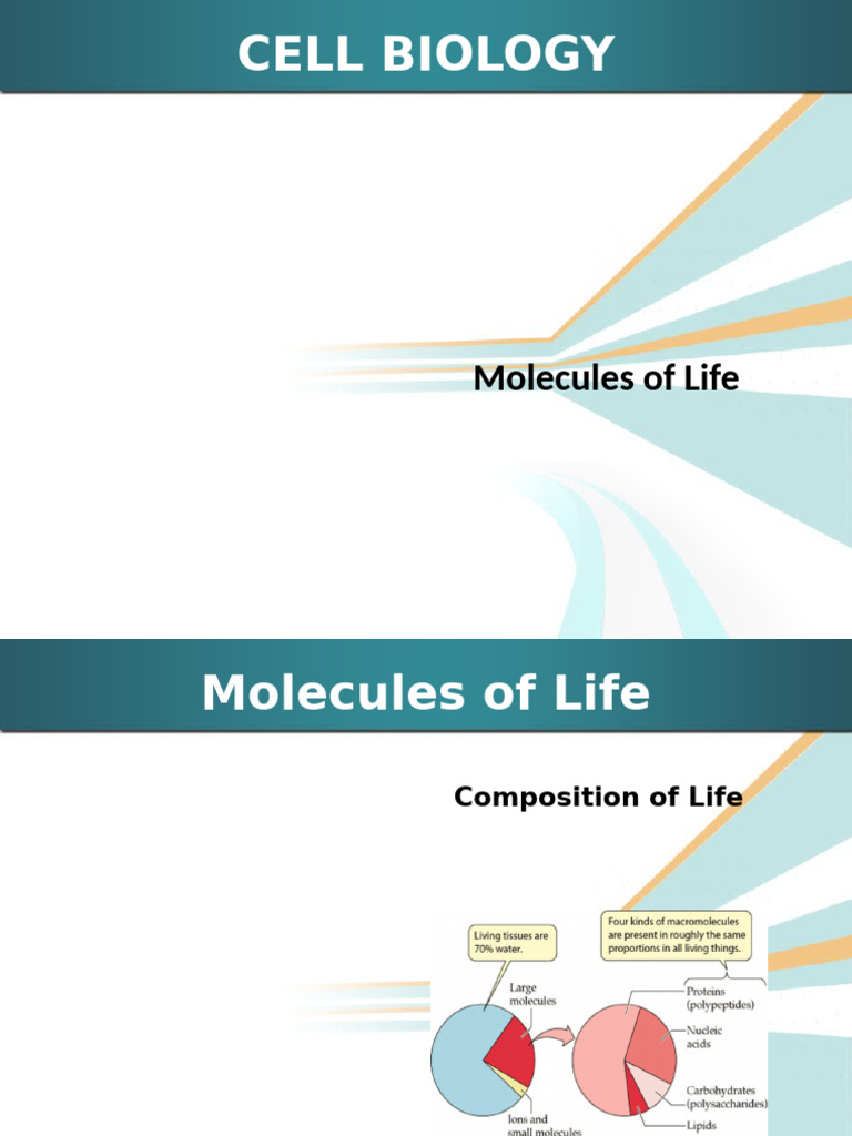 3 - Moelcules of Life | PDF
