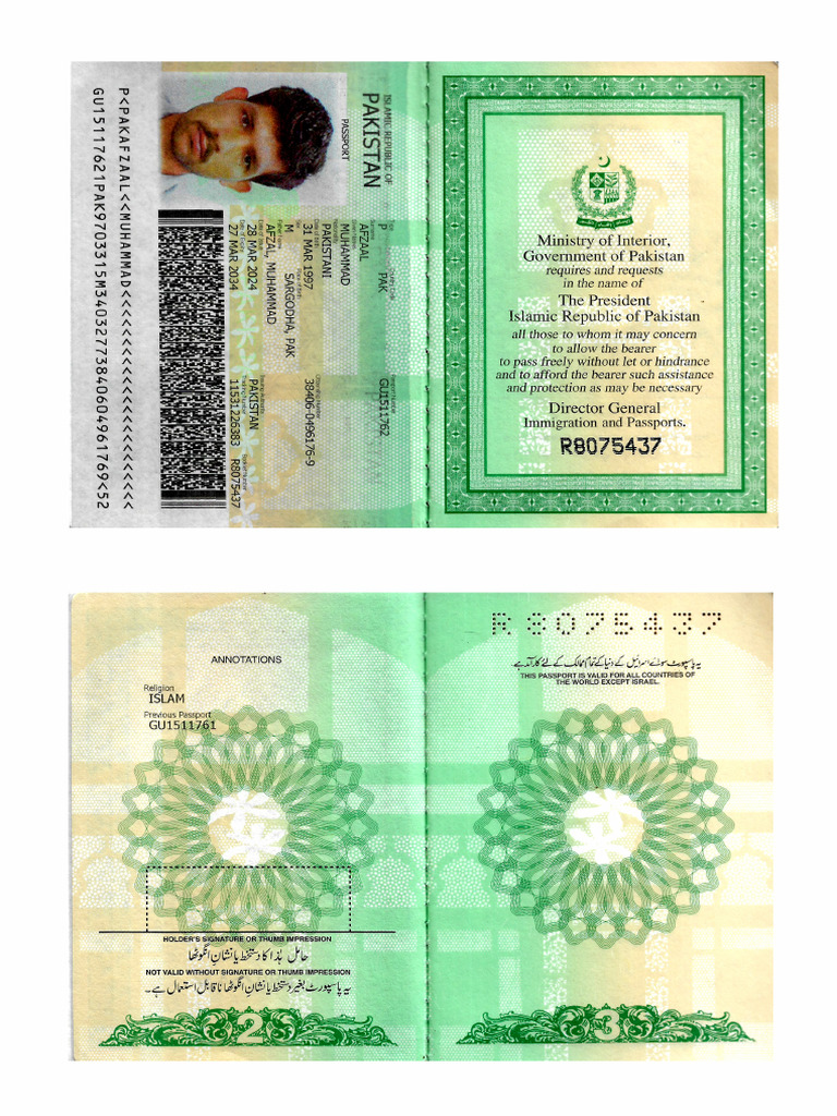 Muhammad Afzaal | PDF