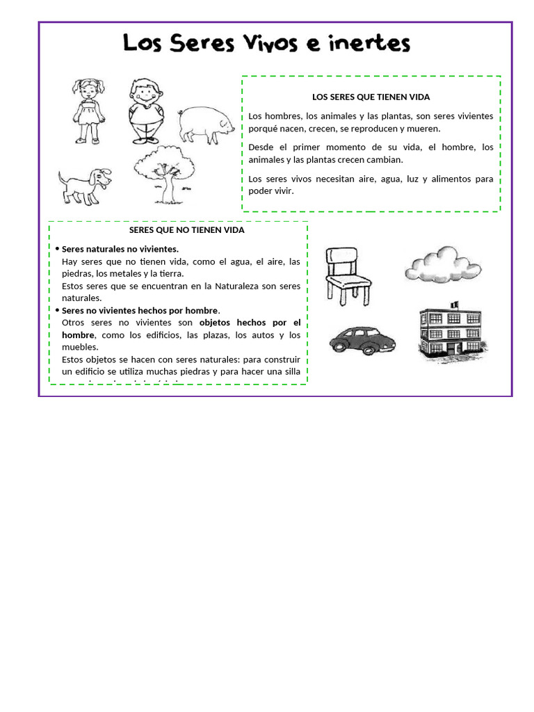 Ficha Ciencia - Seres Vivos y No Vivos | PDF