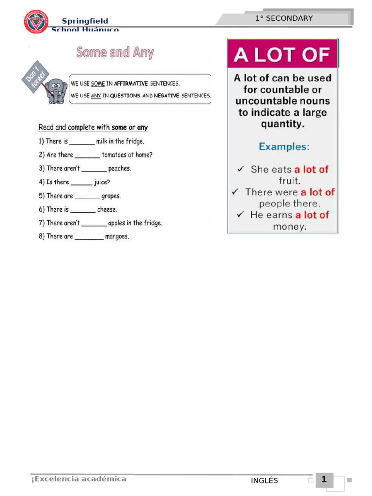Some Any A Lot of | PDF