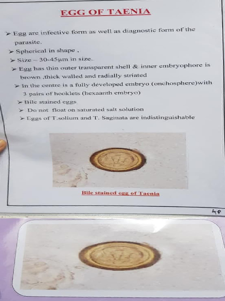 Micro Parasitology Spots | PDF
