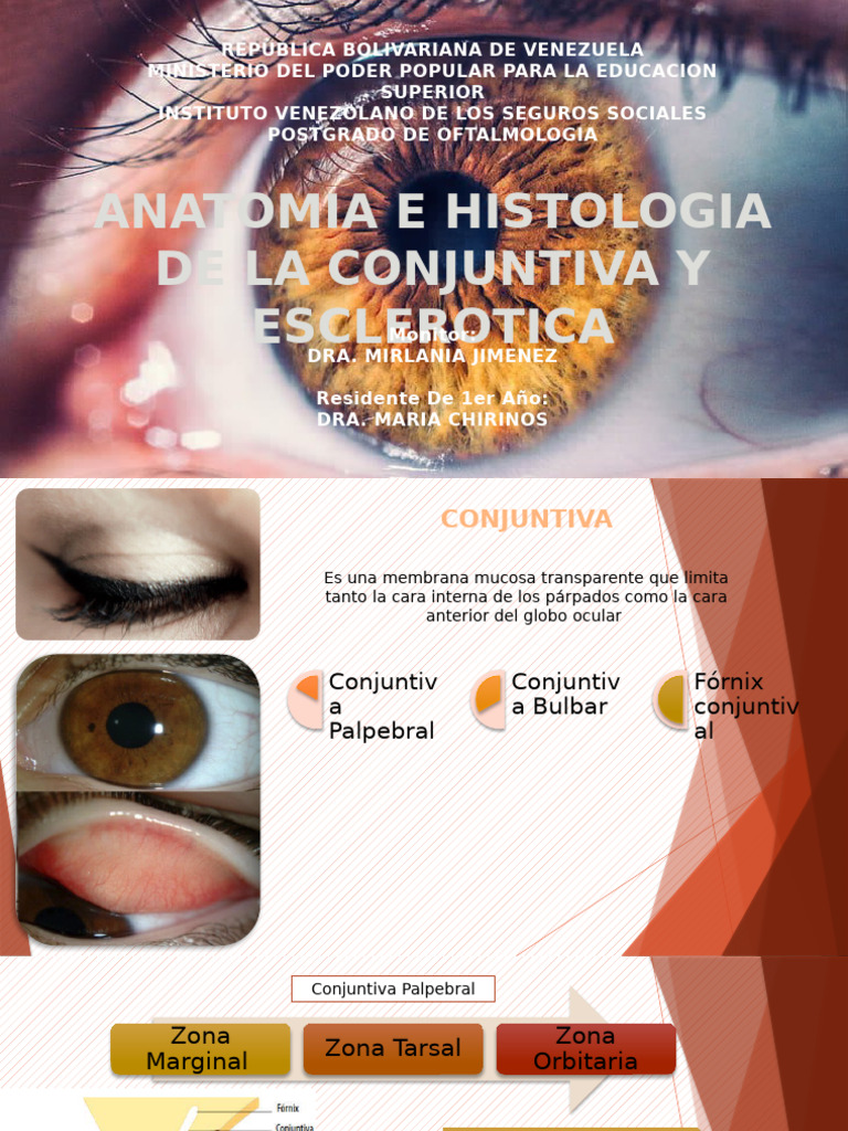 CONJUNTIVA Y ESCLERA | PDF | Epitelio | Anatomía
