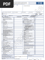 Guía del Formulario 101 en Línea | PDF