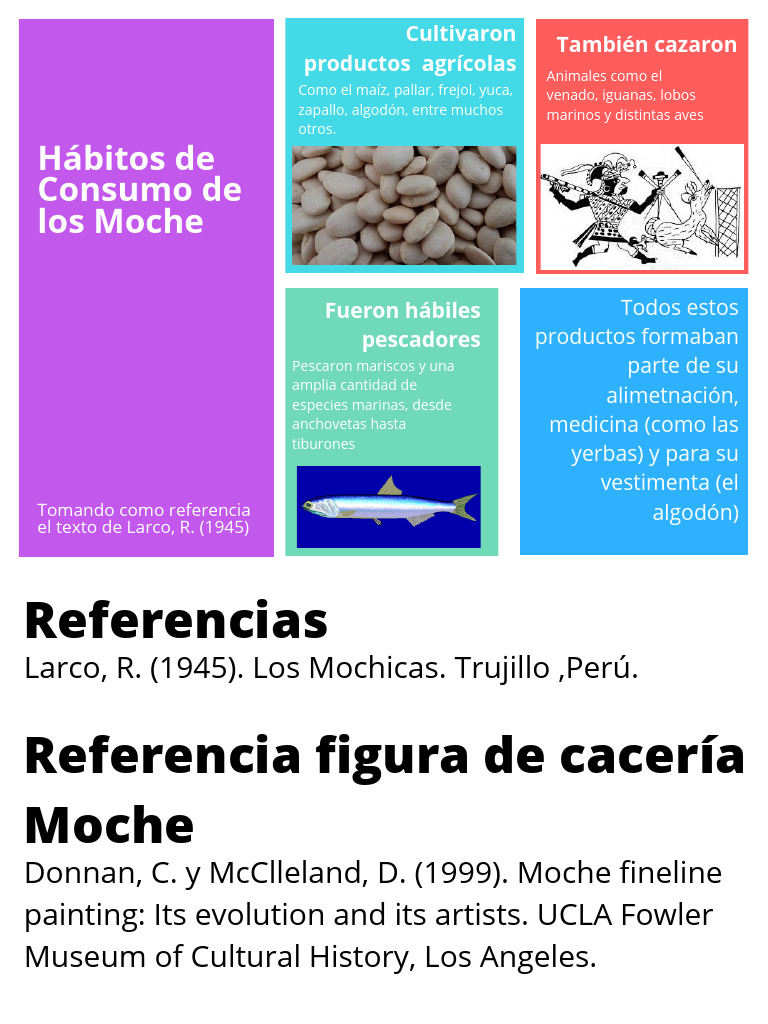 Hábitos de Consumo de Los Mochica | PDF