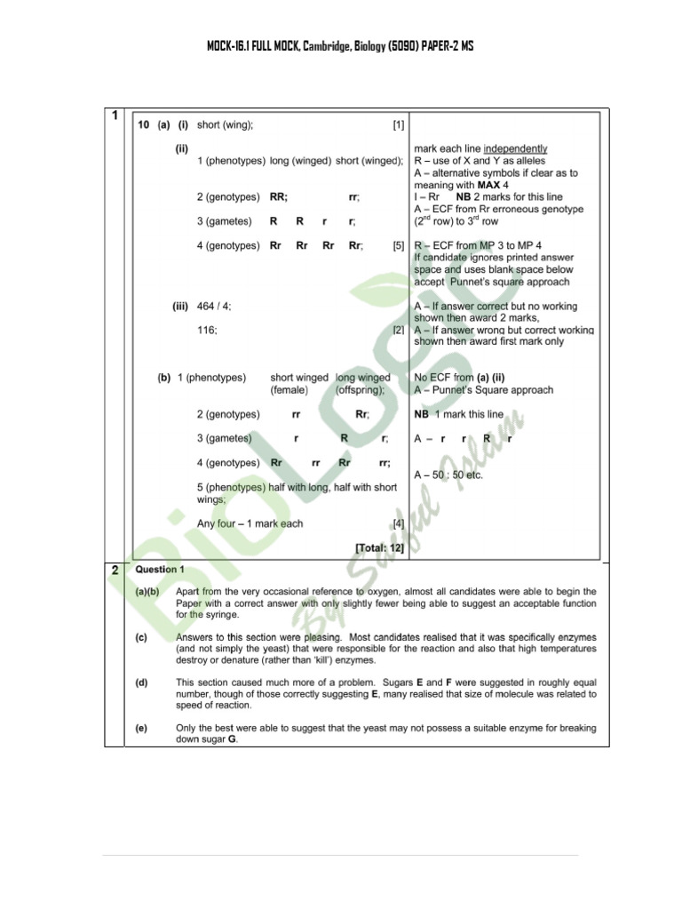 2025 MOCK-16.1 P-2 MS_watermark | PDF