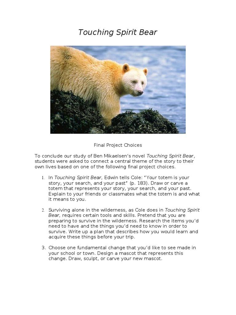 Touching Spirit Bear Final Project Choices | PDF