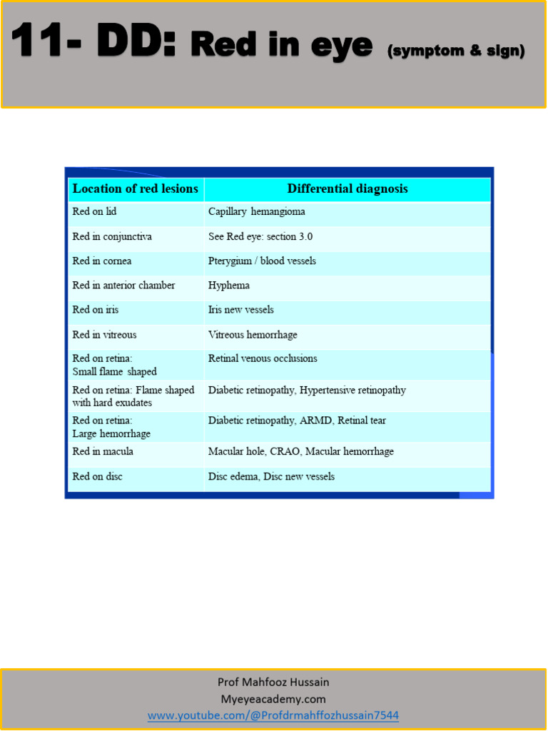 11 DD Red Lesion in Eye PDF | PDF