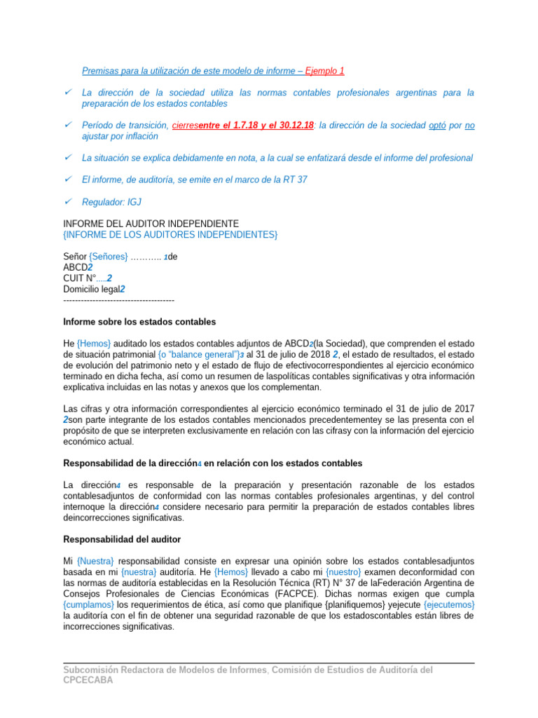 1 INFORME DEL AUDITOR INDEPENDIENTE - Período de Transición | PDF | Auditoría | Contralor