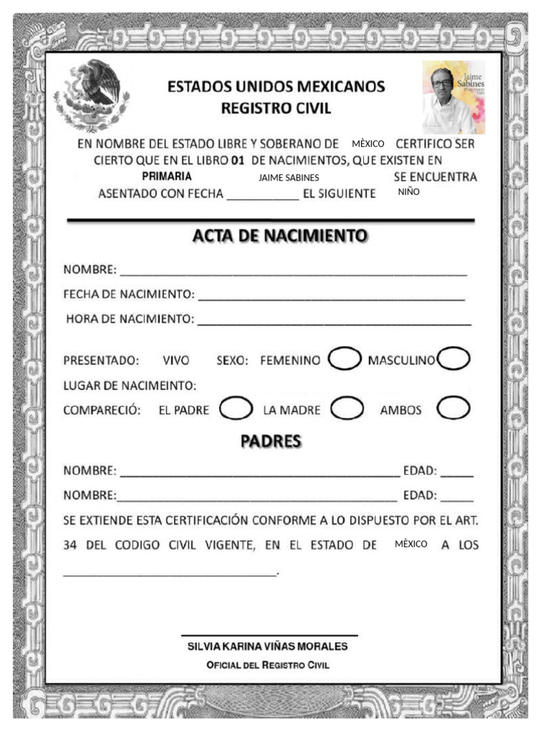 Acta De Nacimiento P Llenar Pdf